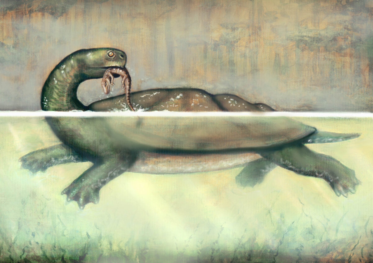 Exploring The Difference Between Dinosaur And Reptile: A Quick Guide
